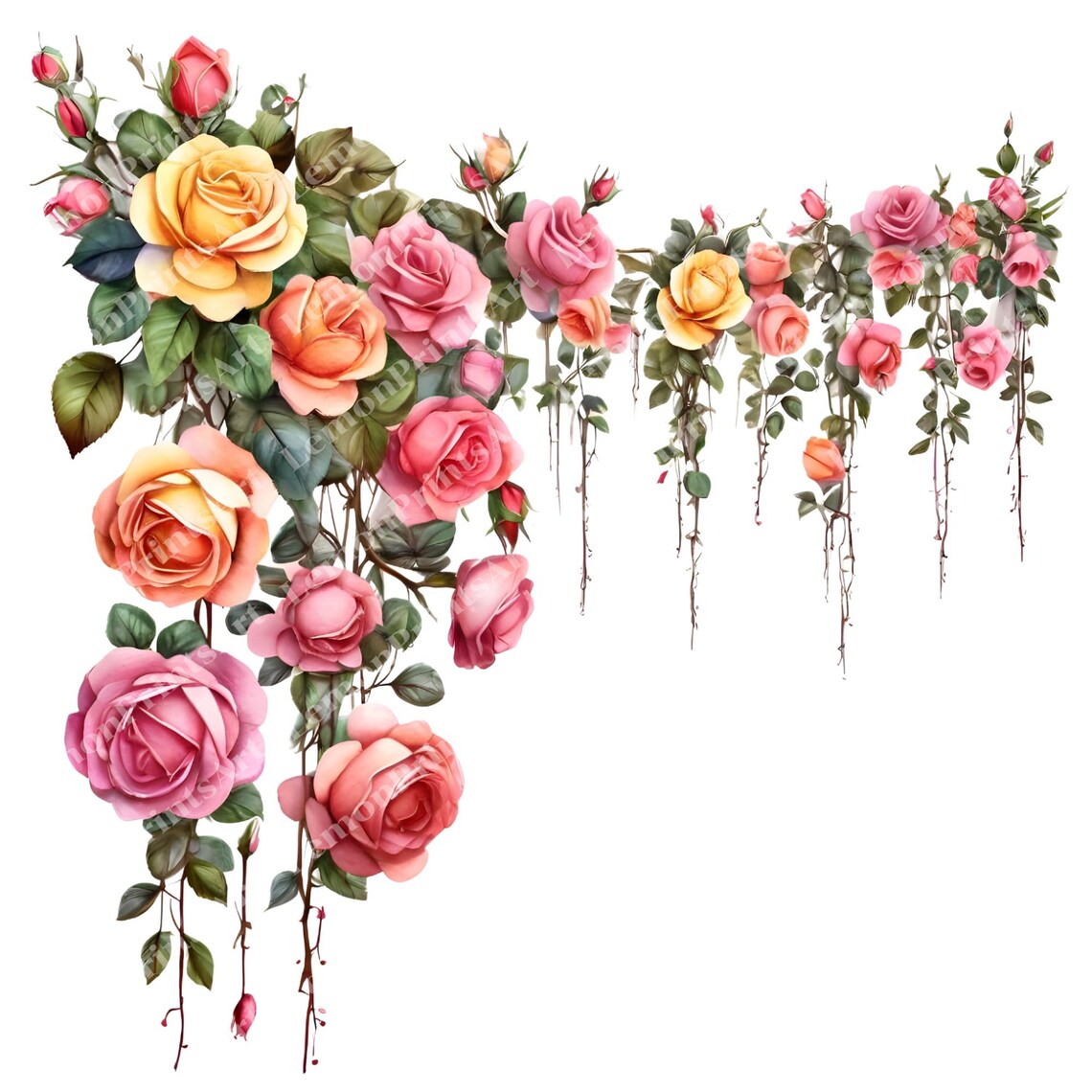 30 Climbing Roses Flowers Mix Clipart, Climbing Rose Gothic, High ...