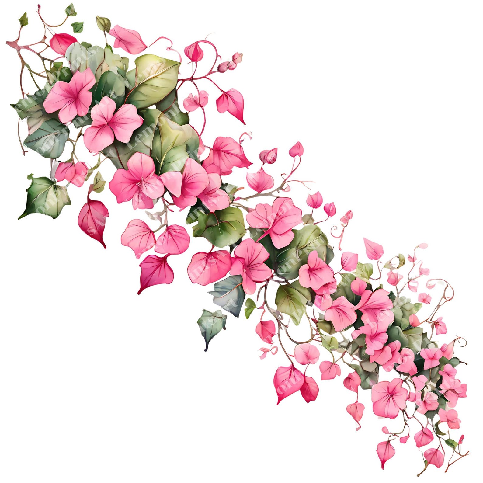 39 Vibrant Pink Floral Clipart, Hot Pink Flowers PNG, Vibrant Blooms ...