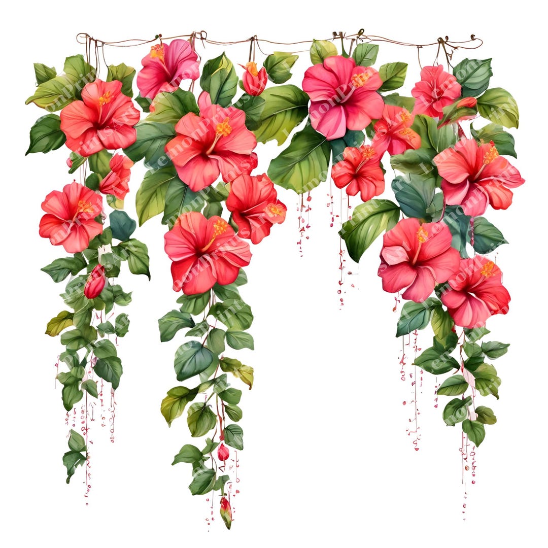 64 Hibiscus Flower #2 Clipart, Tropical Flower Graphics, High Quality ...