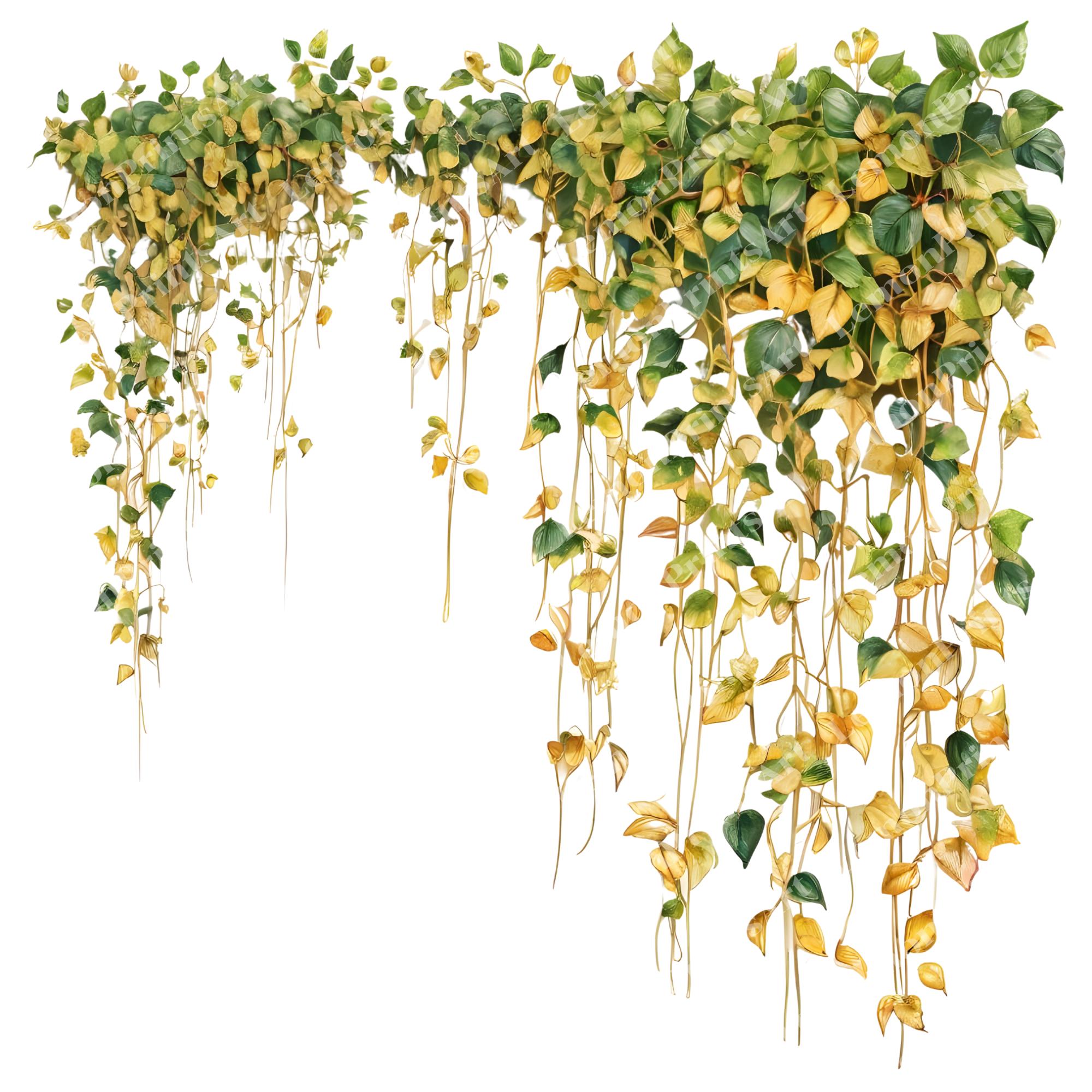 29 Golden Ivy Clipart, Watercolor Ivy, Wedding Art Floral, High Quality ...