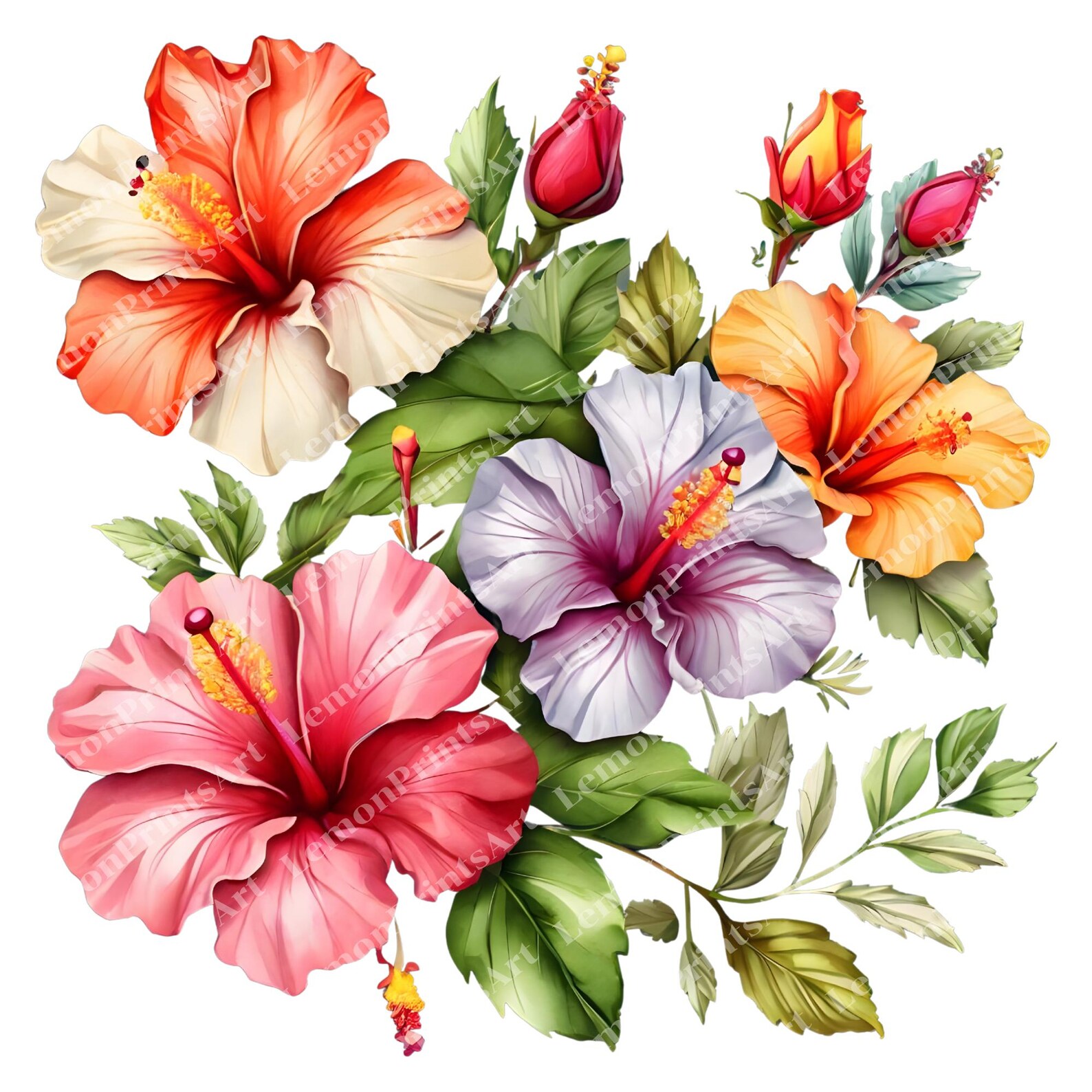 64 Hibiscus Flower #2 Clipart, Tropical Flower Graphics, High Quality ...