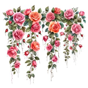 30 Climbing Roses Flowers Mix Clipart, Climbing Rose Gothic, High ...