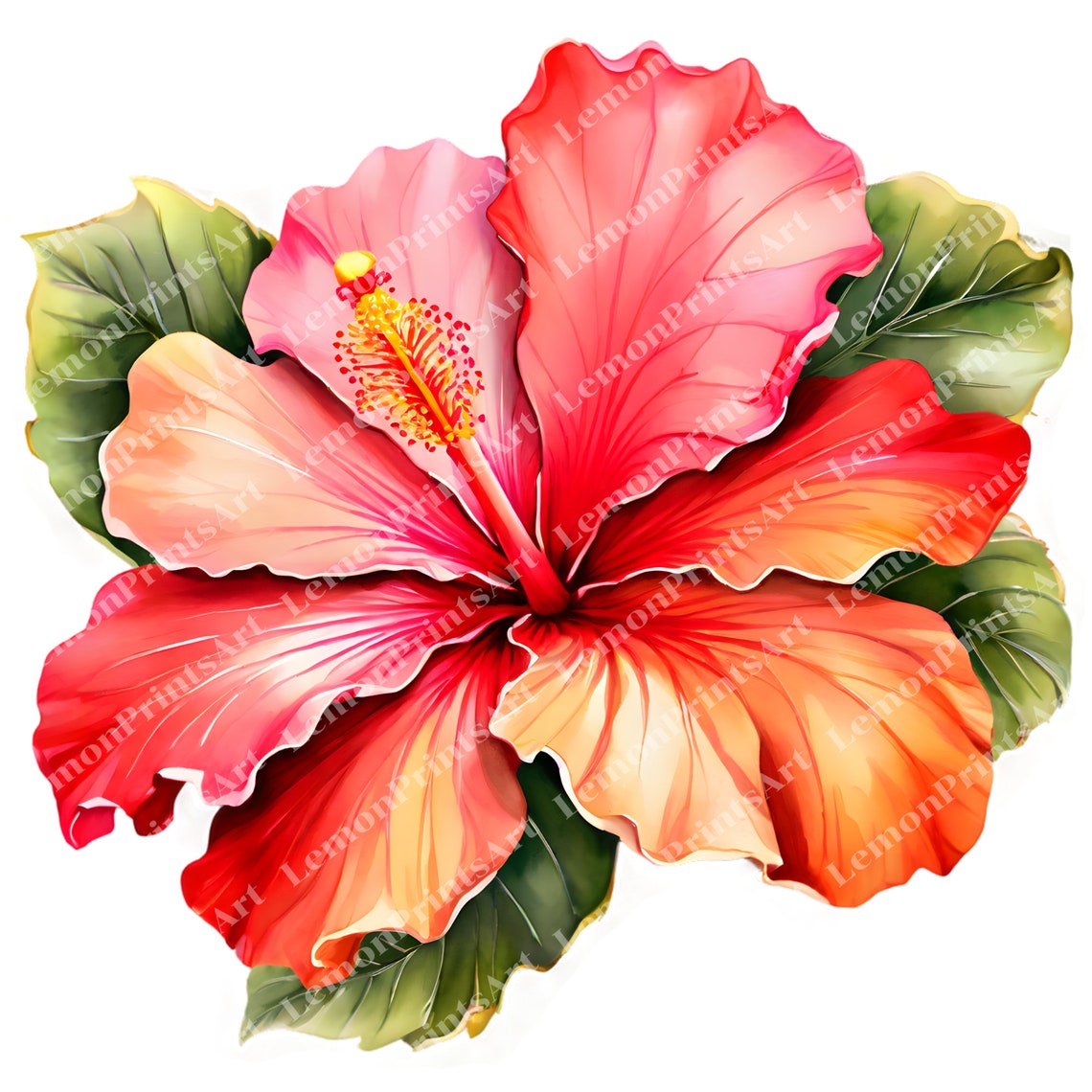 21 Hibiscus Tropical Flower Clipart, Watercolor Summer Flowers, High ...