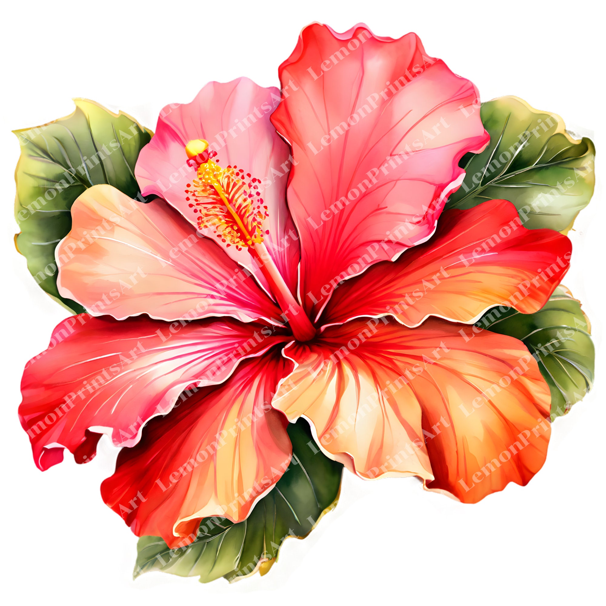 21 Hibiscus Tropical Flower Clipart, Watercolor Summer Flowers, High ...
