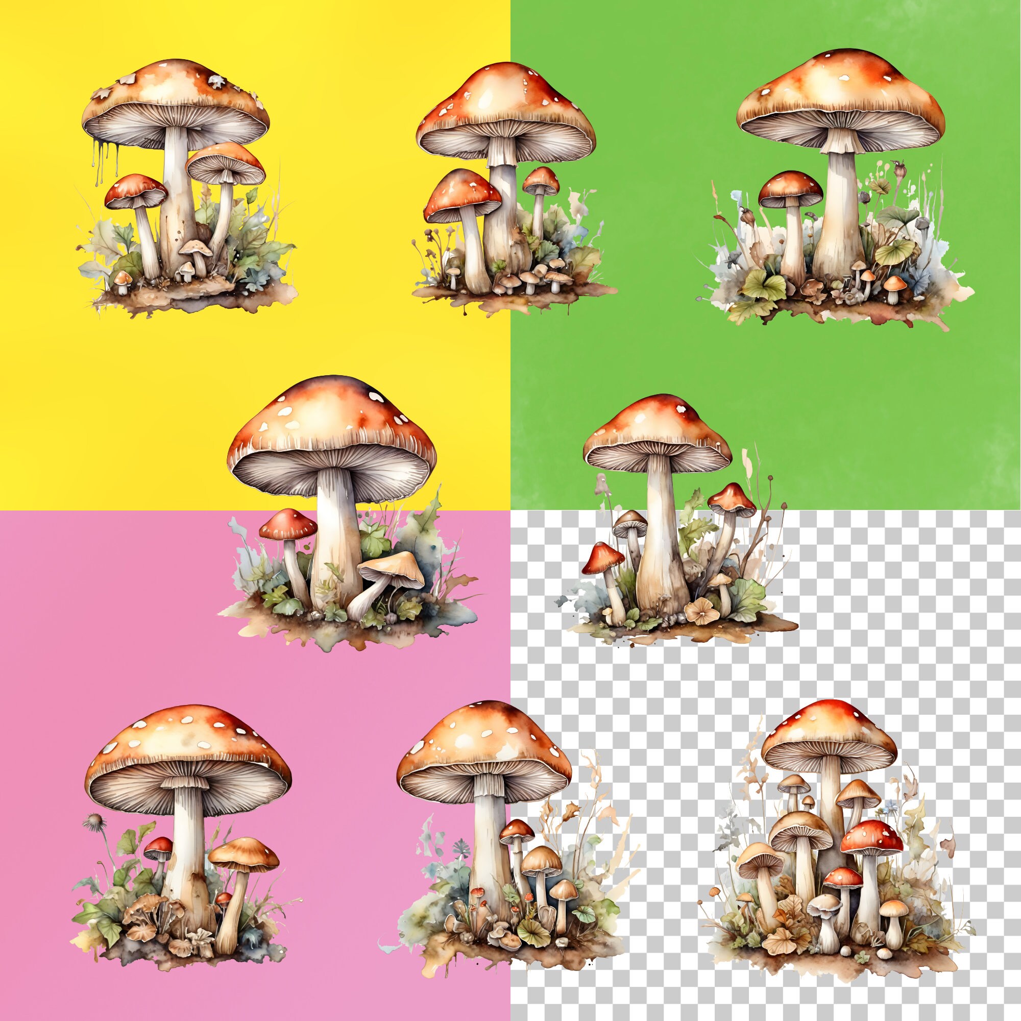 24 Watercolor Mushrooms Clipart, Bundle, Mushroom Sublimation Design ...
