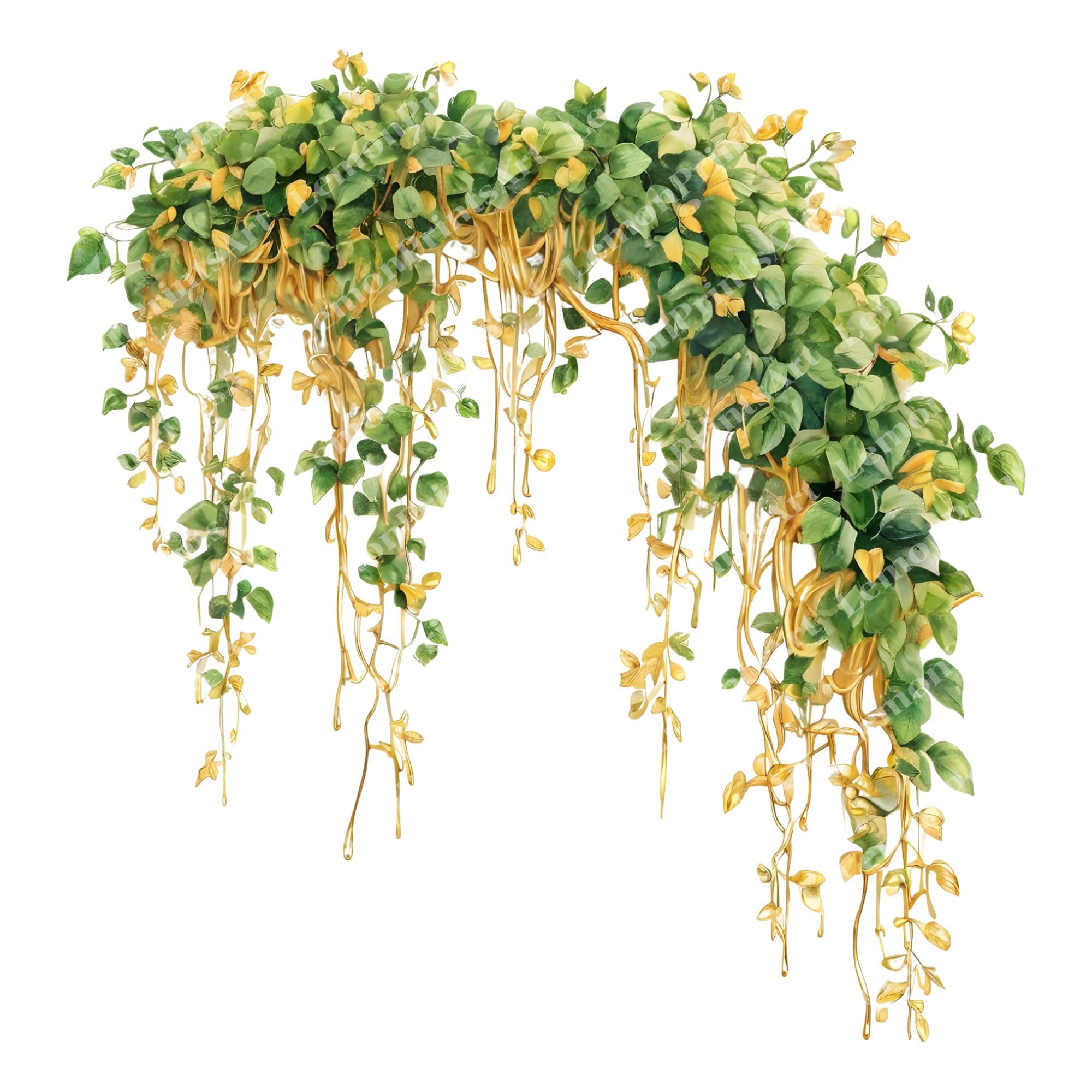 29 Golden Ivy Clipart, Watercolor Ivy, Wedding Art Floral, High Quality ...