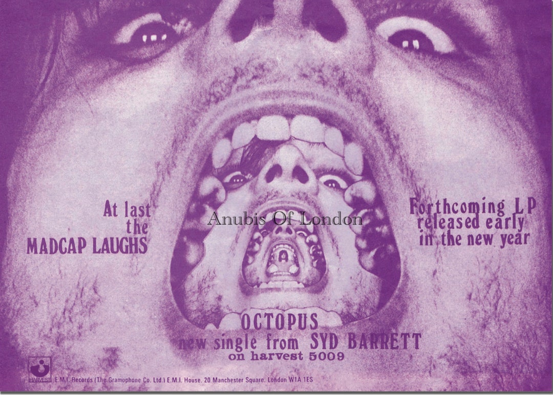 SYD BARRETT the Madcap Laughs - High Quality A2 Art Poster - Psych - Etsy