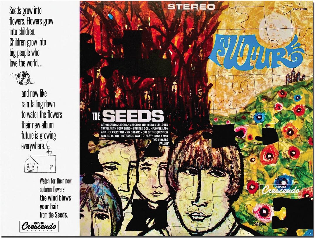 THE SEEDS - Future - Promo Poster - A1 Poster - Psych - Etsy