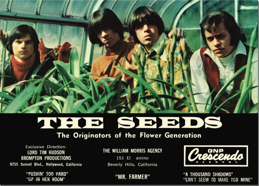 THE SEEDS - 1967 - High Quality A2 Art Poster - Psych - Etsy