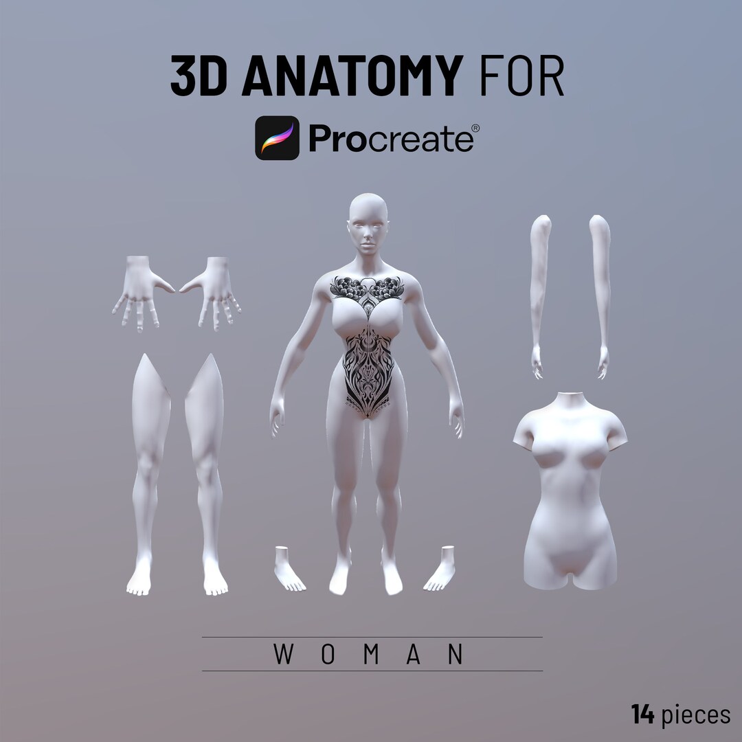 Procreate 3D Object , 3D Anatomy for Procreate, 3D Arm Model, 3D Leg ...
