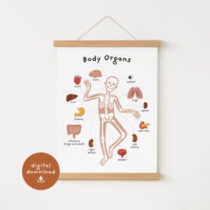 Body Organs Poster, Human Anatomy Printable, Nursery Wall Art Decor ...