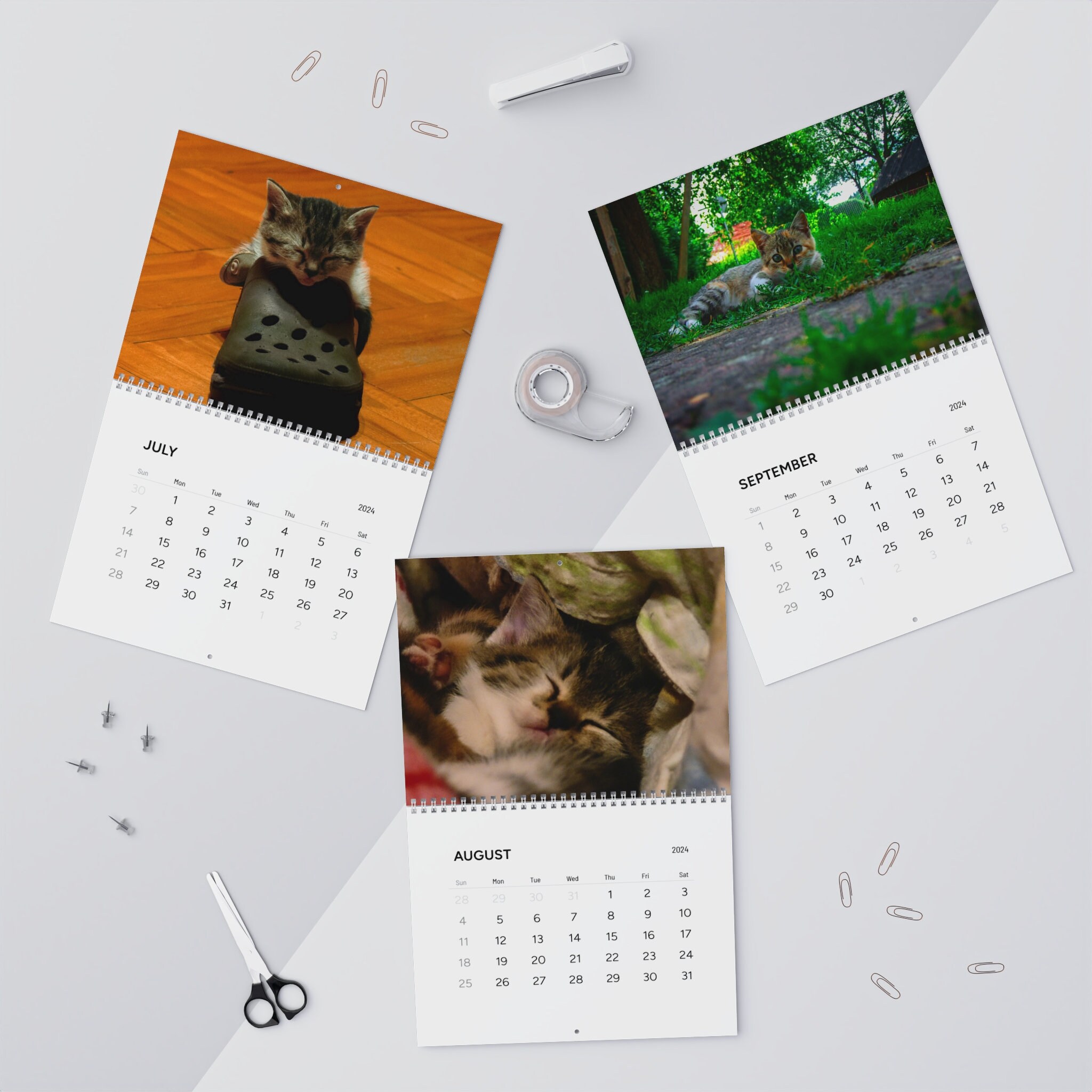 2024 Calendar, Kitten Calendar, Baby Animal Theme, Monthly Planner, Cat ...