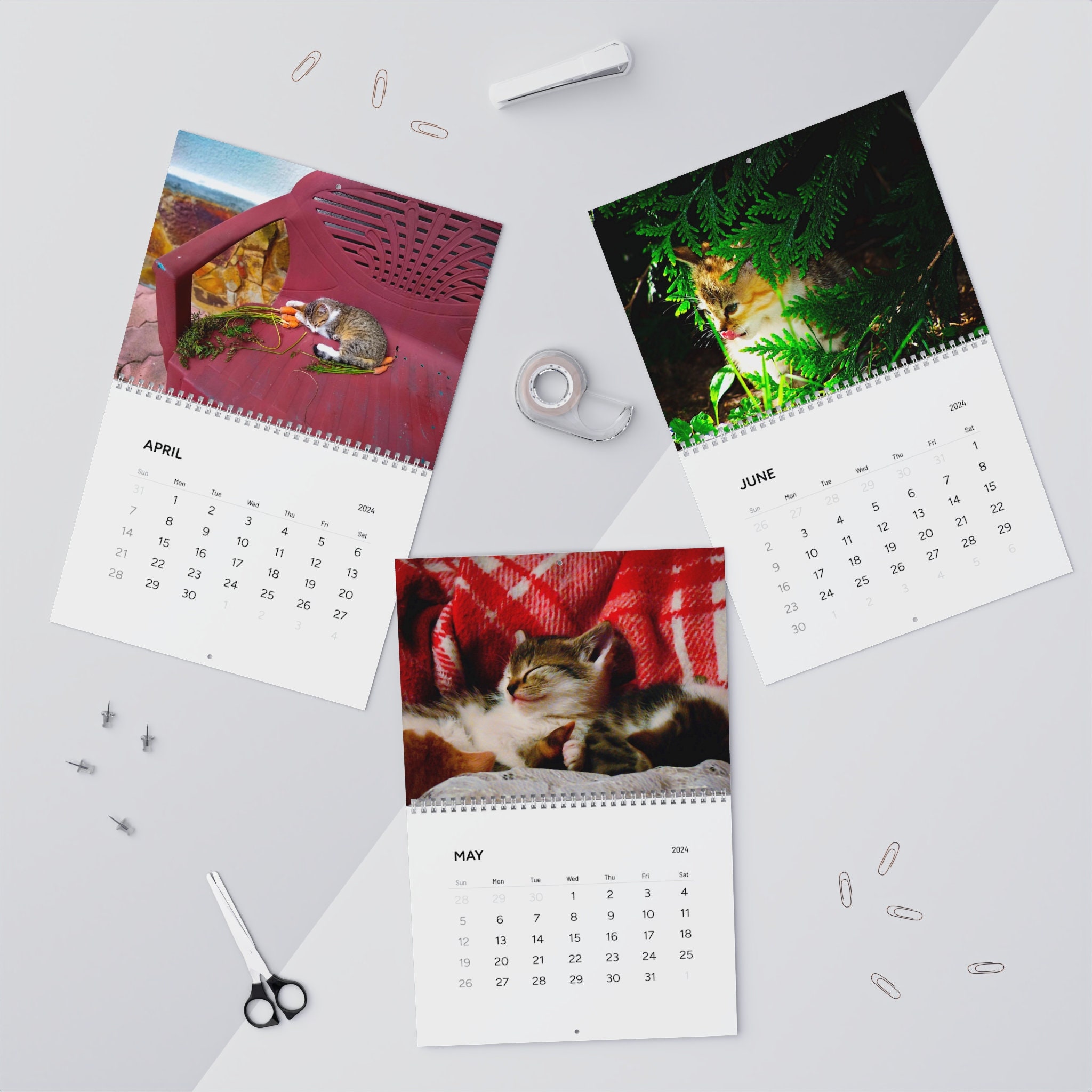 2024 Calendar, Kitten Calendar, Baby Animal Theme, Monthly Planner, Cat ...