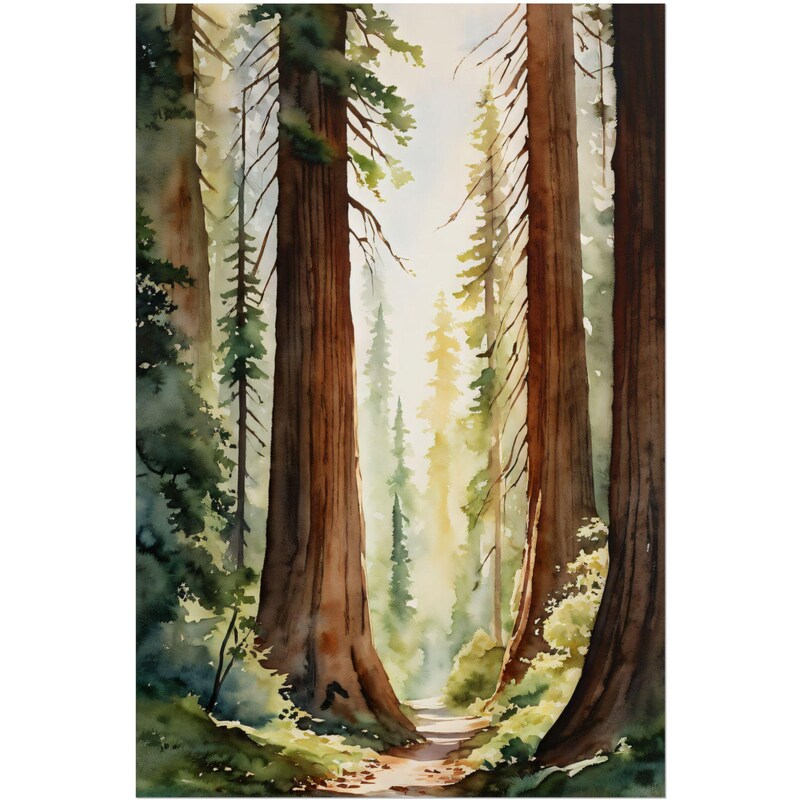 Redwood Tree Art - Etsy