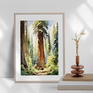 Sequoia Trees Watercolor Painting California Art Print Forest Landscape ...