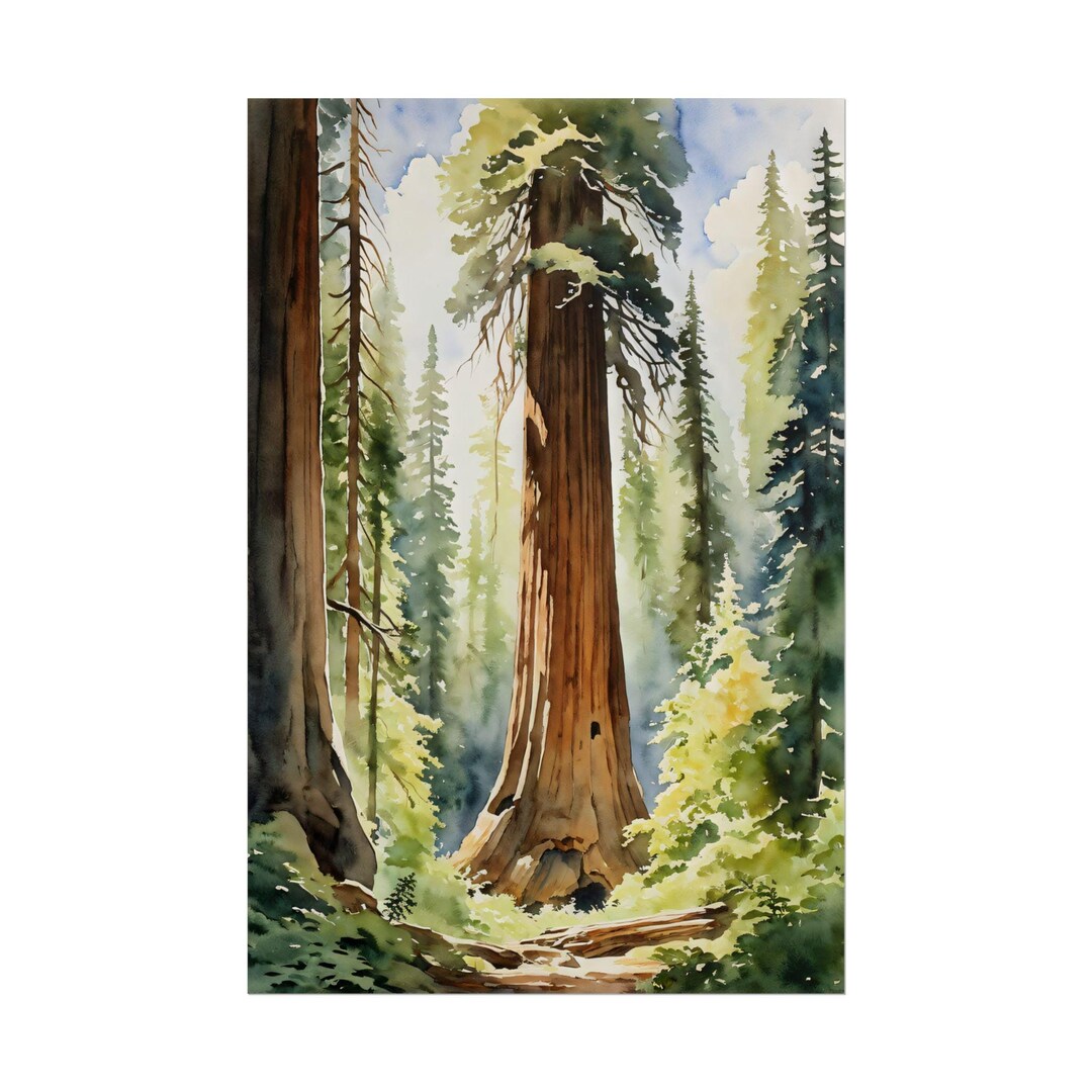 Sequoia Trees Watercolor Painting California Art Print Forest Landscape ...