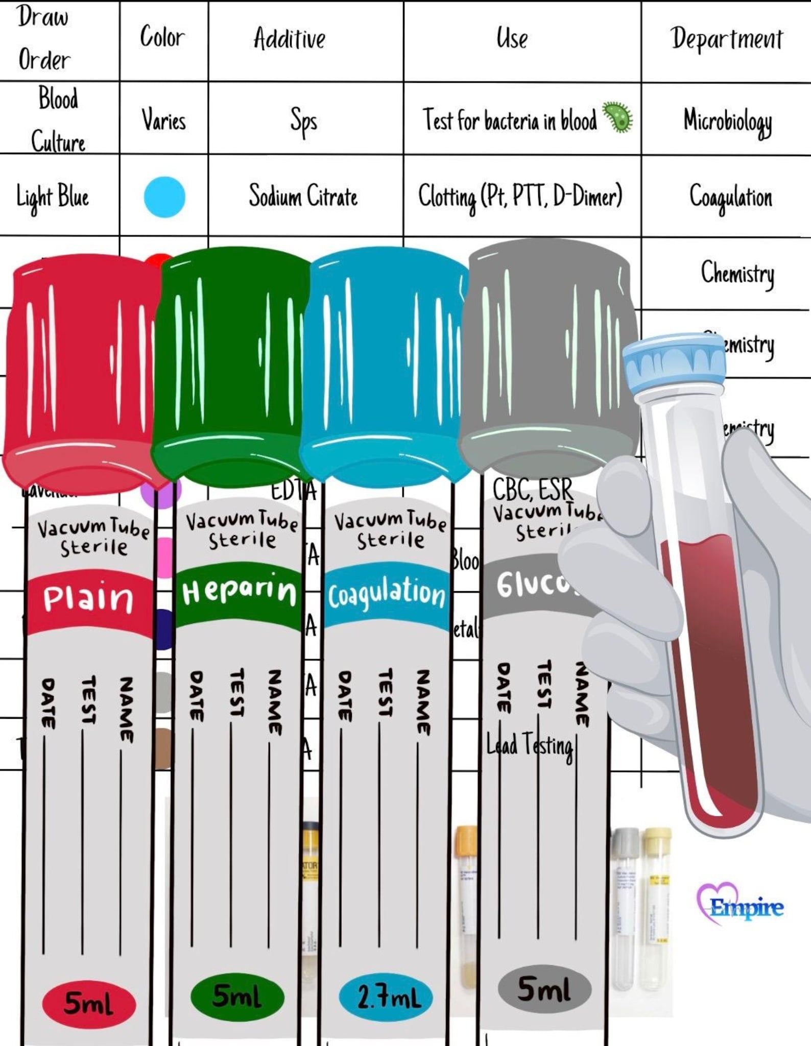 Phlebotomy Order of Draw Study Sheet - Etsy