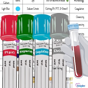 Phlebotomy Order of Draw Study Sheet - Etsy