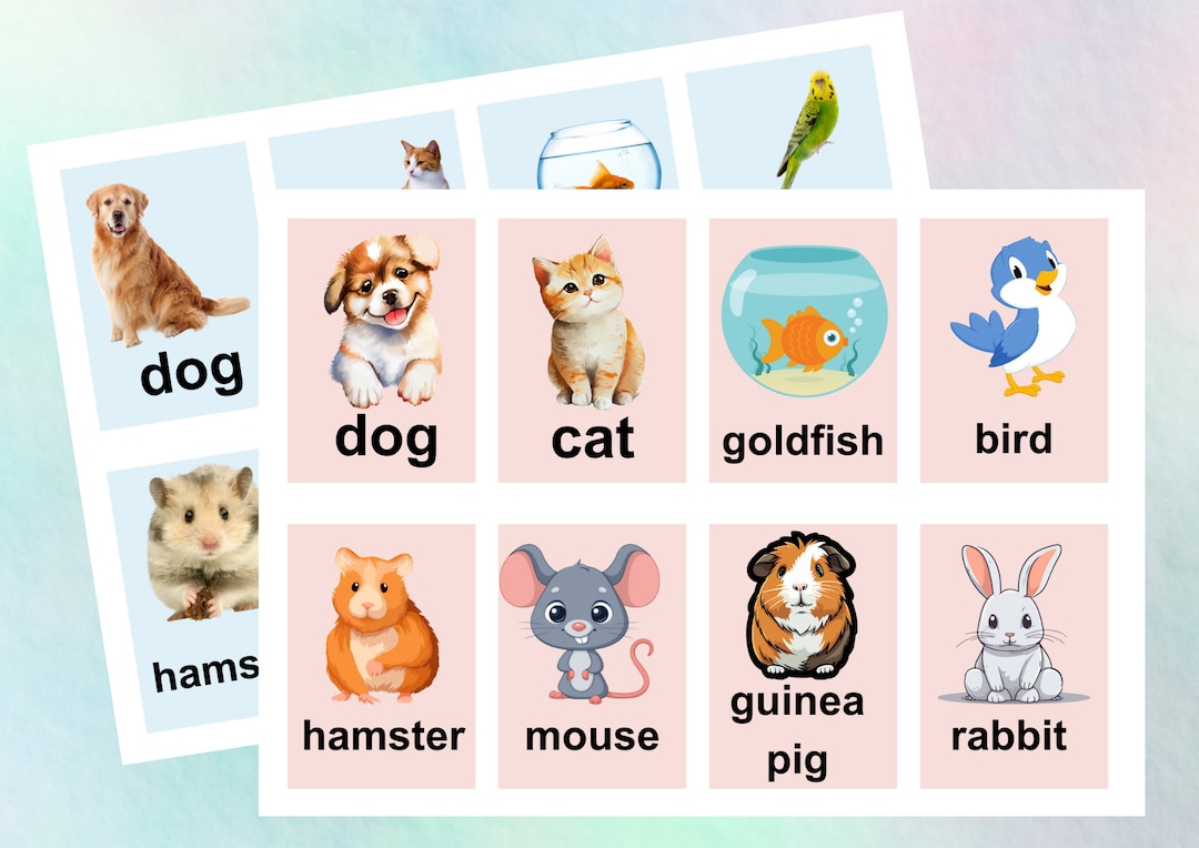 Pets Flashcards - Etsy