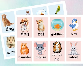 Pets, Real, Flashcards, Vocabulary, Animals, Colorful, Learning, School ...