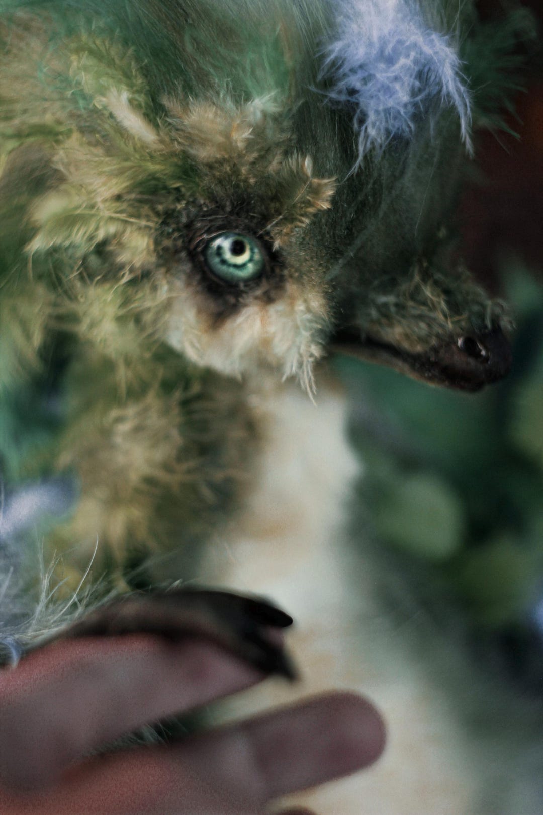 Archaeopteryx Dinosaur Realistic Art Doll Sculpture Ooak, Poseable ...