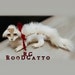 Falkor - Never Ending Story Lucky Dragon Dog - Art Doll Sculpture Ooak ...