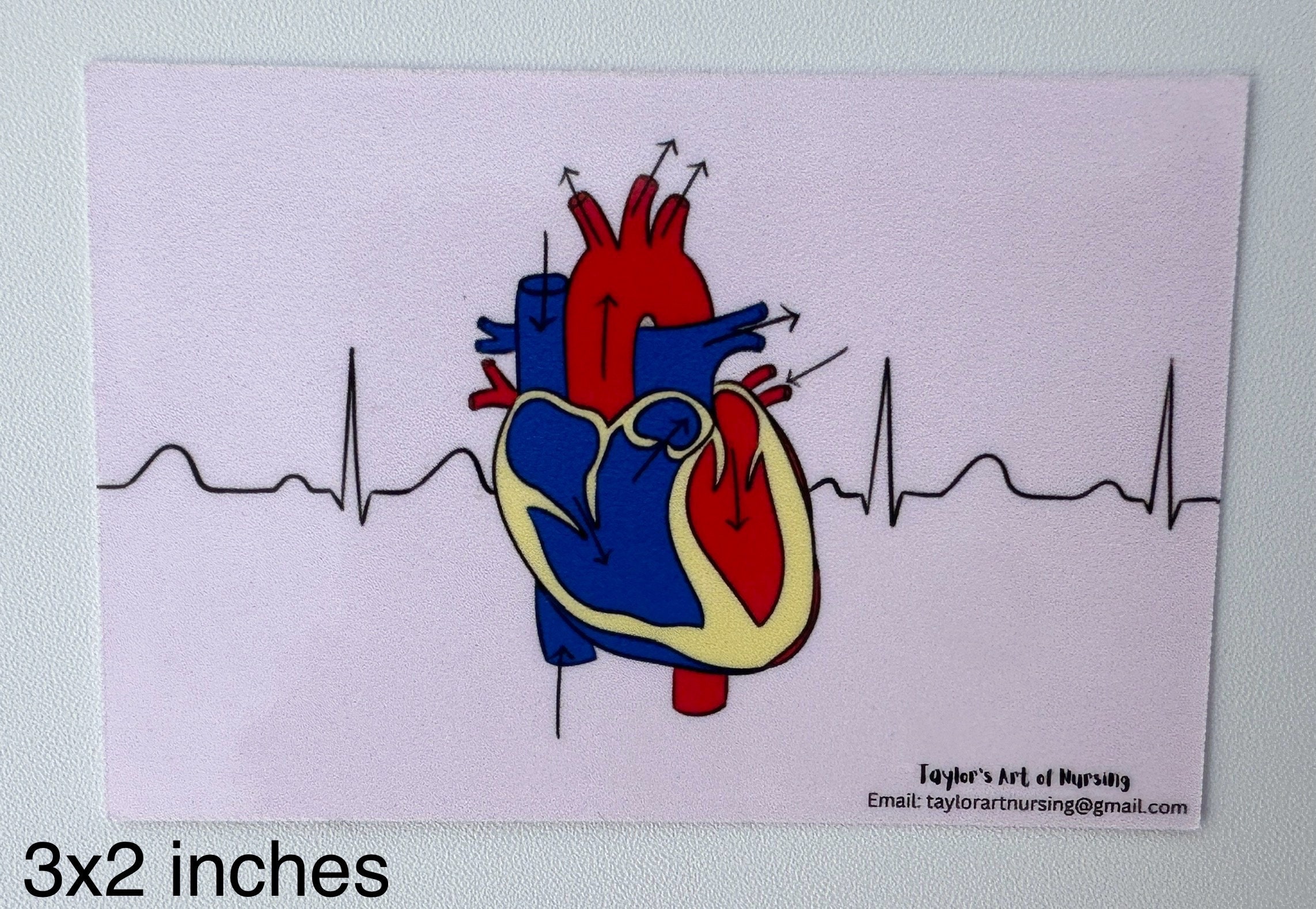 Ekg & Heart Anatomy Sticker Glossy Finish - Etsy