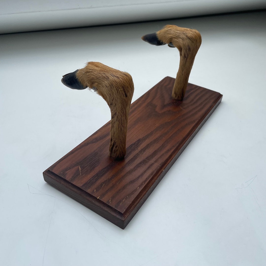Vintage French Double Deer Foot Coat Hanger - Etsy