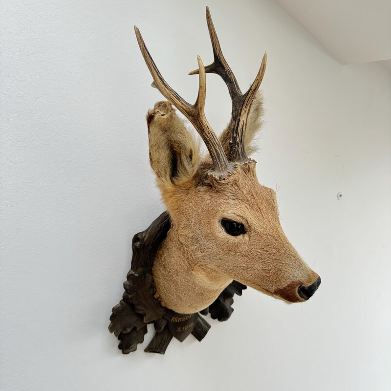 Dear Heads - Etsy Australia