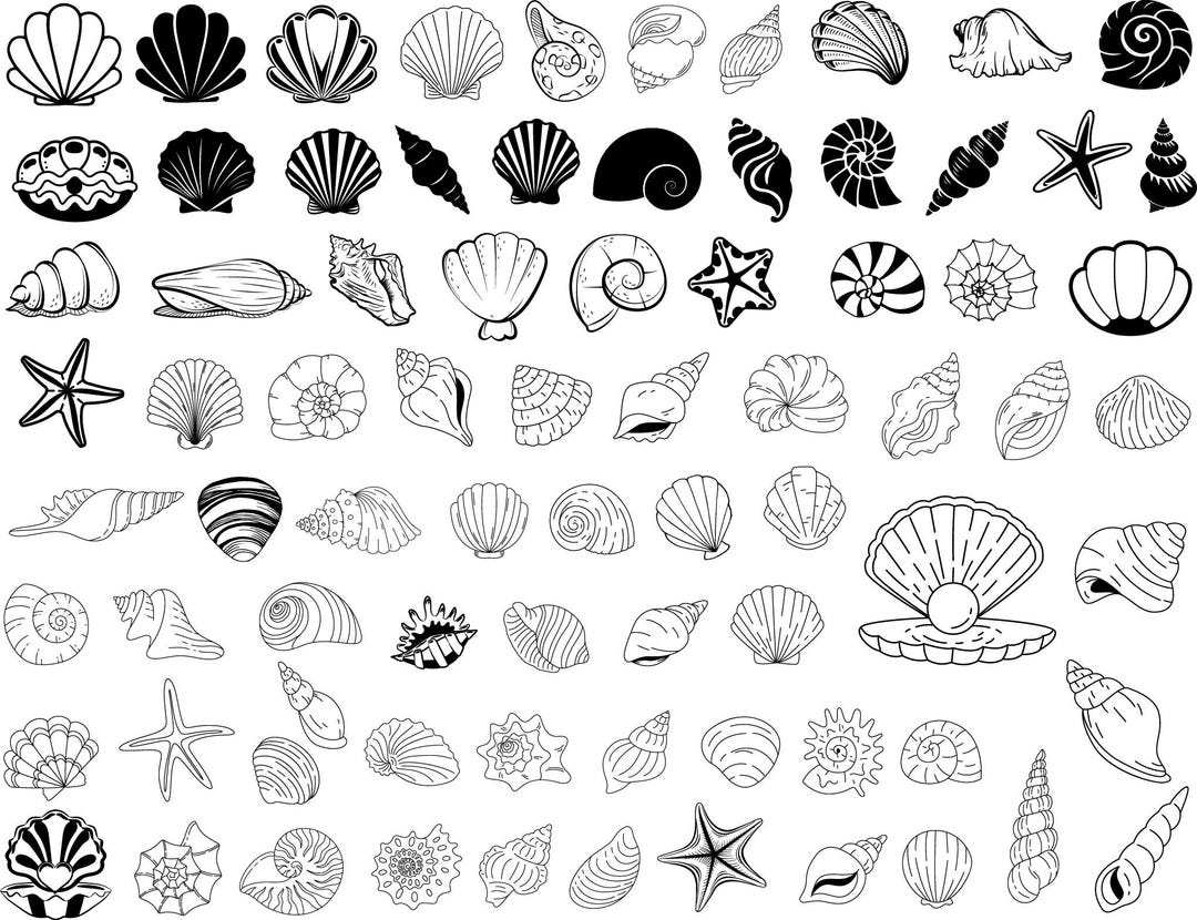 Seashell SVG Bundle, Seashell PNG Bundle, Seashell Clipart, Seashell ...