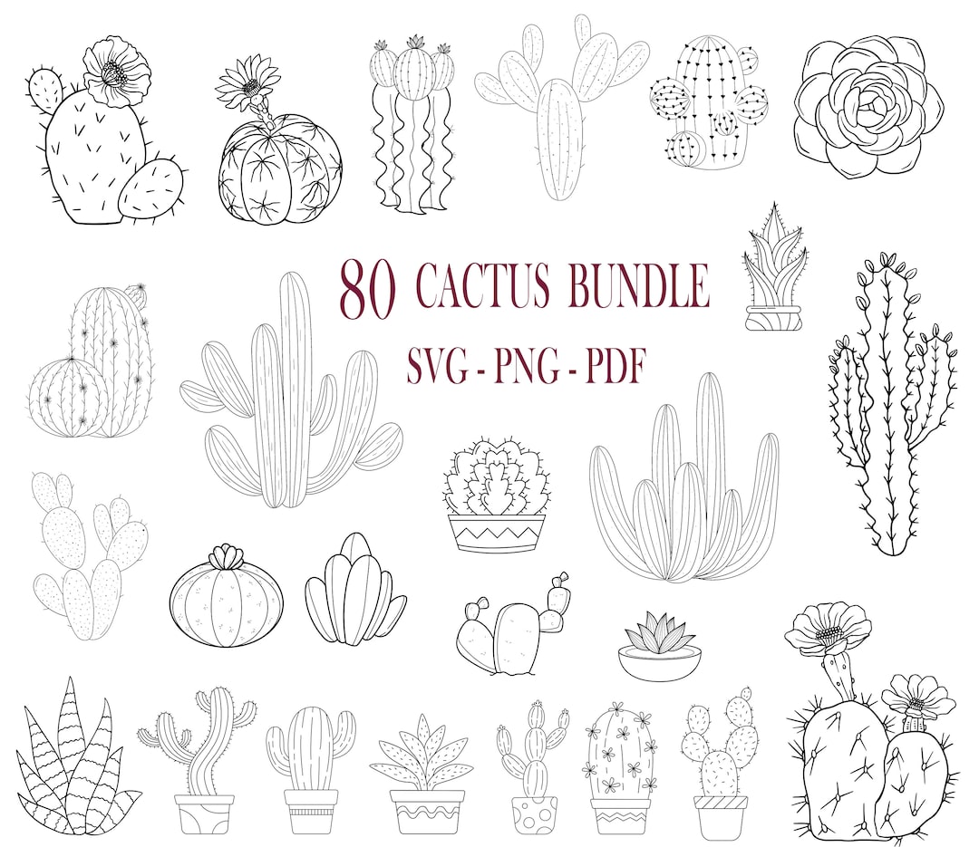 Cactus Collection,cactus SVG Bundle, Cactus Flower SVG File ,png, for ...