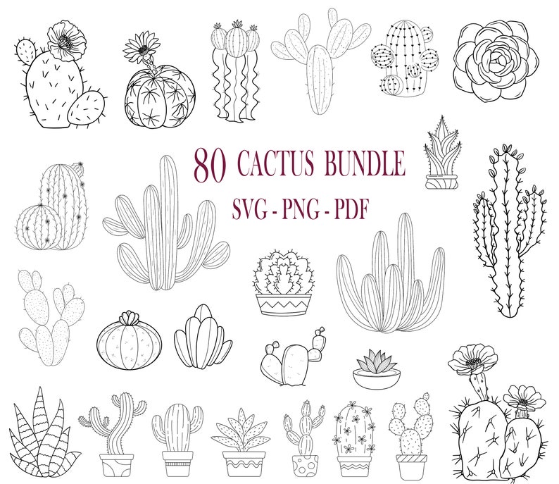 Cactus Collection,cactus SVG Bundle, Cactus Flower SVG File ,png, for ...
