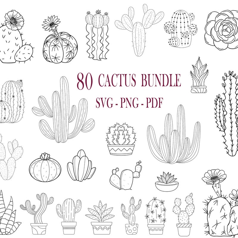 Cactus Illustrations - Etsy