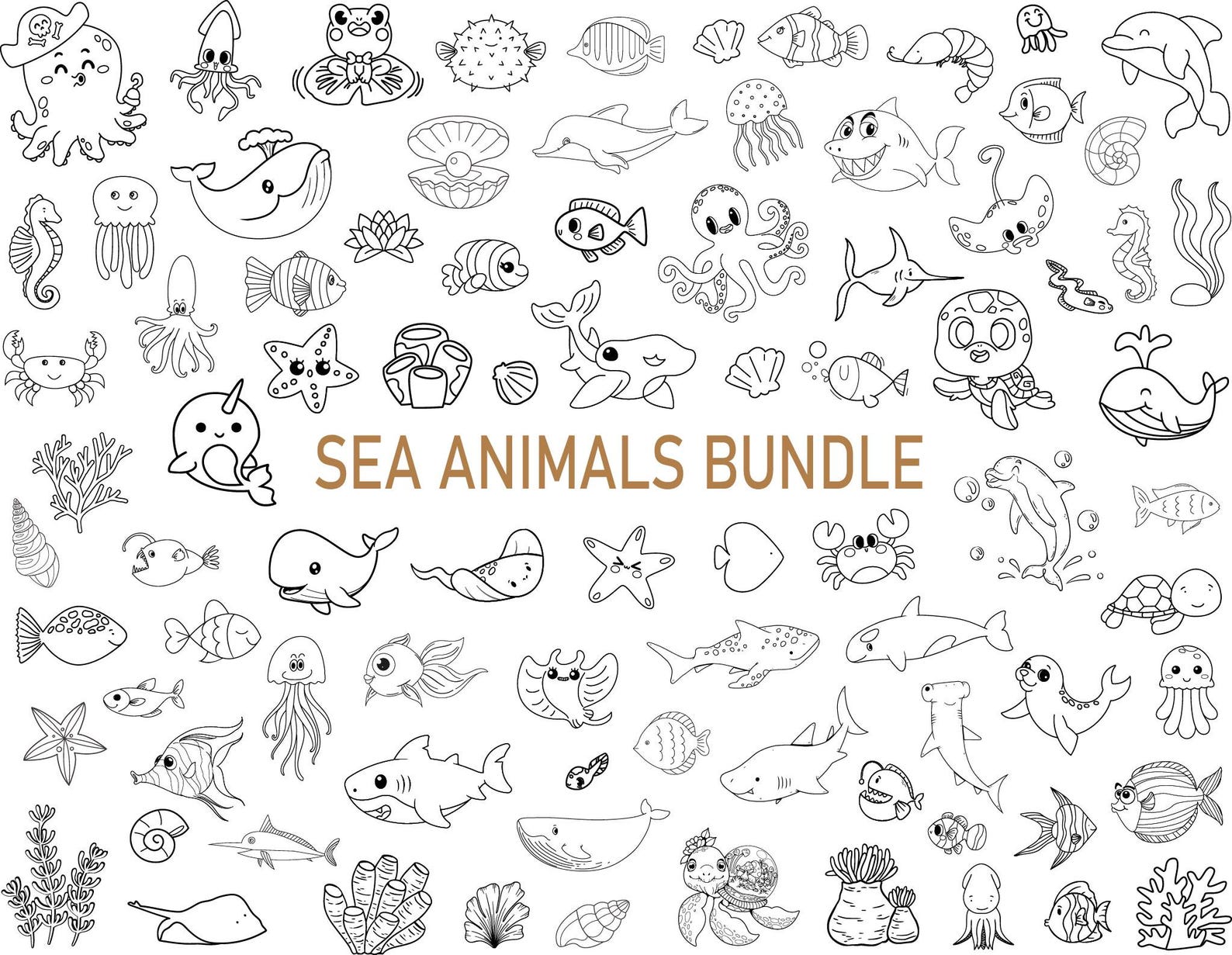 Sea Animal SVG Bundle: Turtle, Whale, Dolphin Clipart (PNG) - Etsy