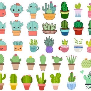 Cactus SVG Bundle: Flower Cacti Cut Files (PNG, PDF) - Etsy