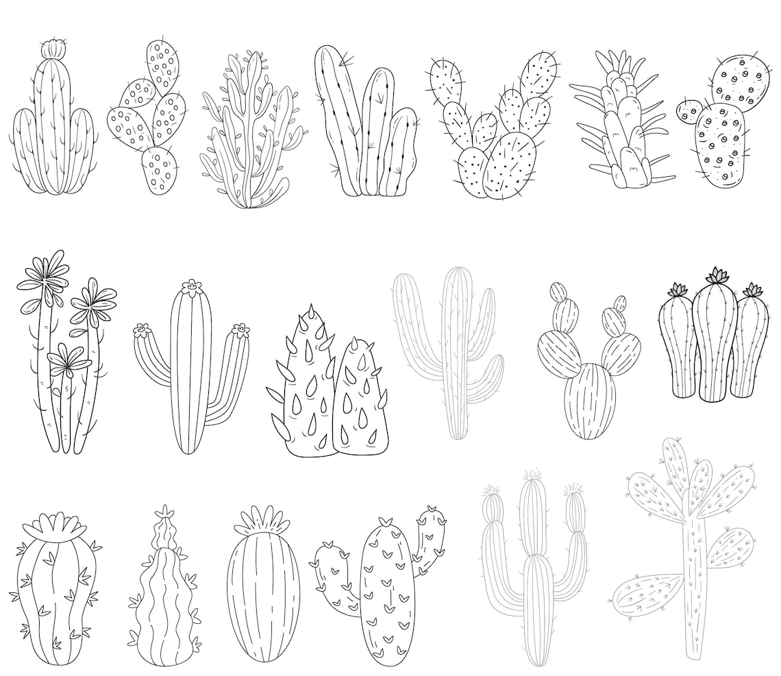 Cactus Collection,cactus SVG Bundle, Cactus Flower SVG File ,png, for ...