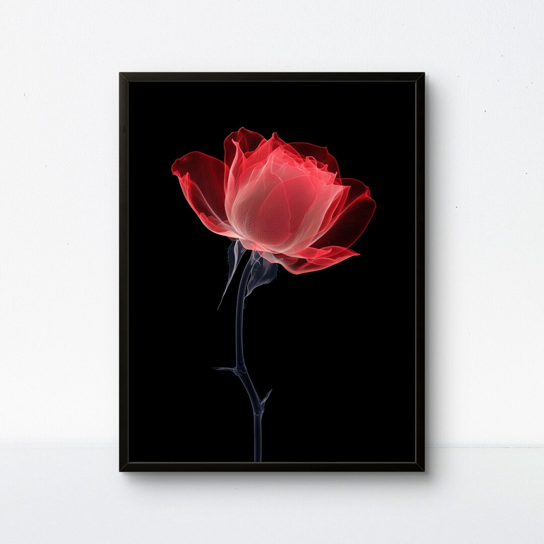 X-ray Red Rose Poster: Radiographic Floral Art Print of Timeless ...