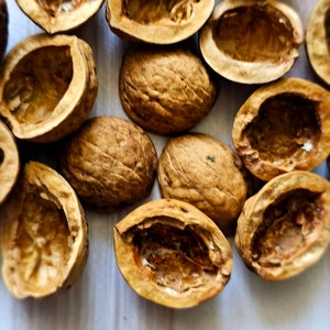 Natural Walnut Shell Halves, Craft Supply, Wedding Ornament - Etsy