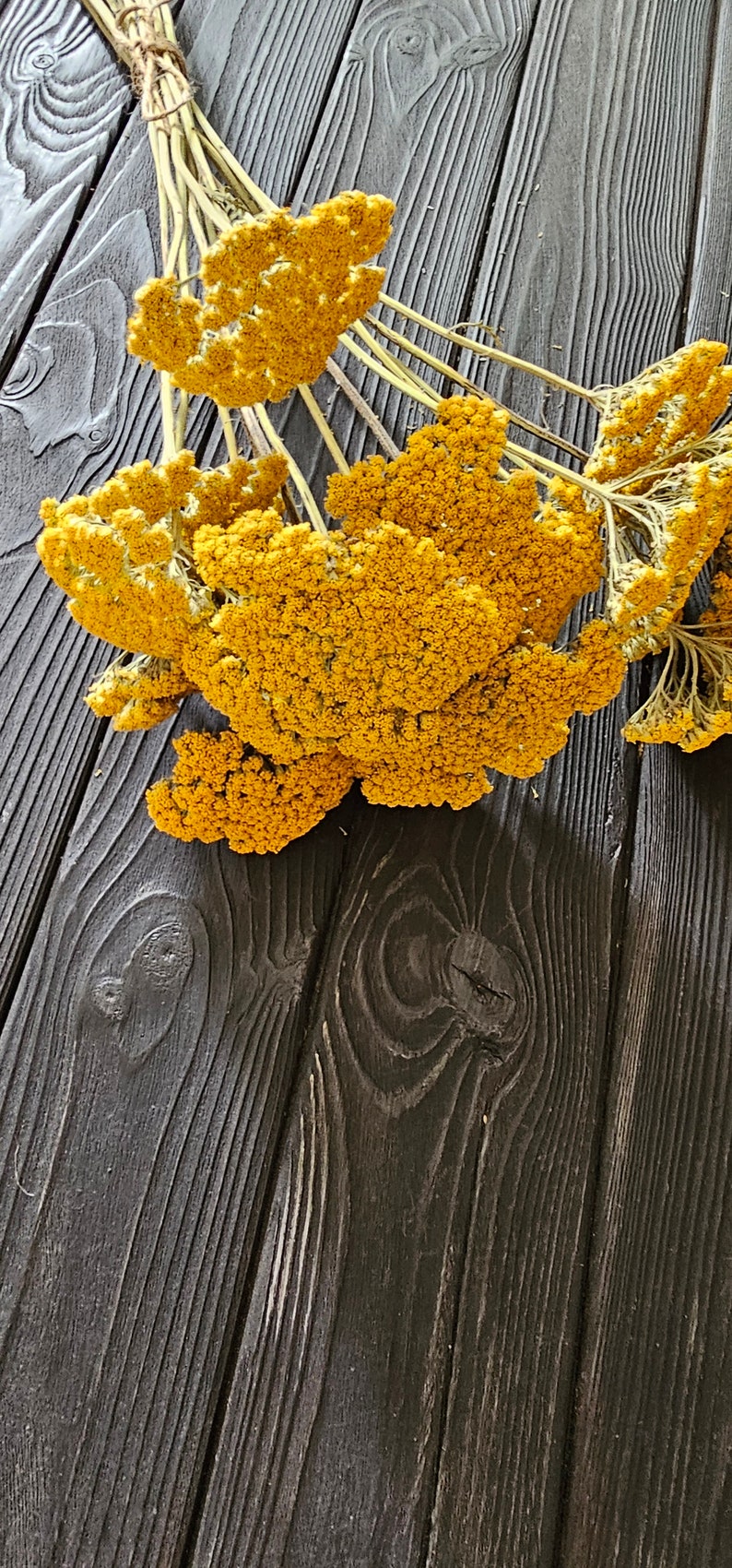 15 Stems Natural Dried Yarrow Bunch, Home Decor - Etsy