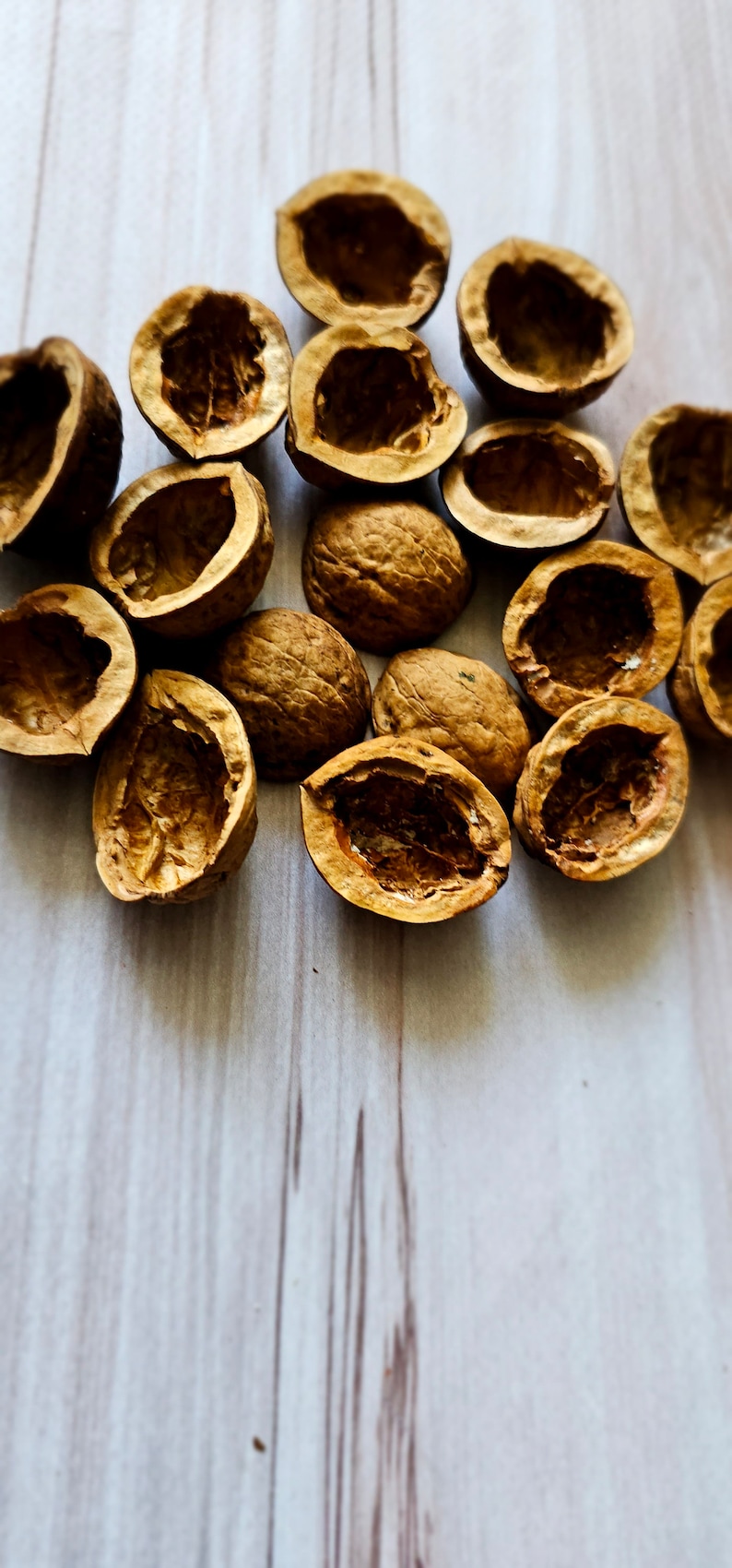 Natural Walnut Shell Halves, Craft Supply, Wedding Ornament - Etsy