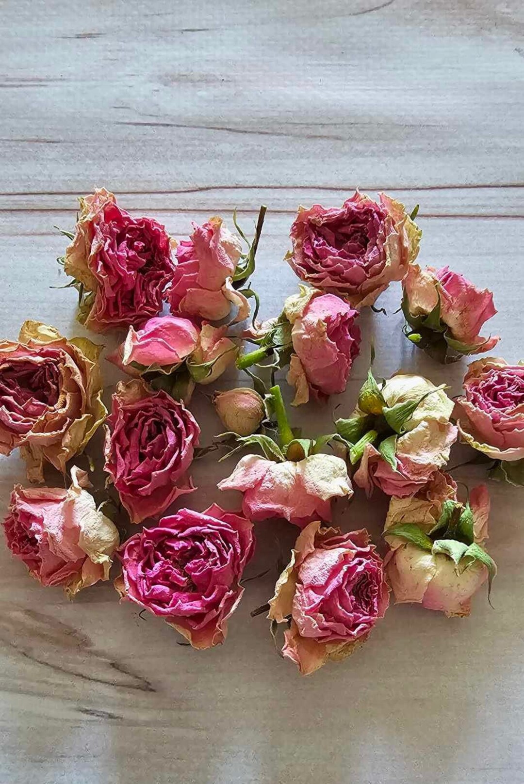 15 Pcs Dried Rose Flowers,dried Rose,pink Dry Roses,miniature Rose Buds ...