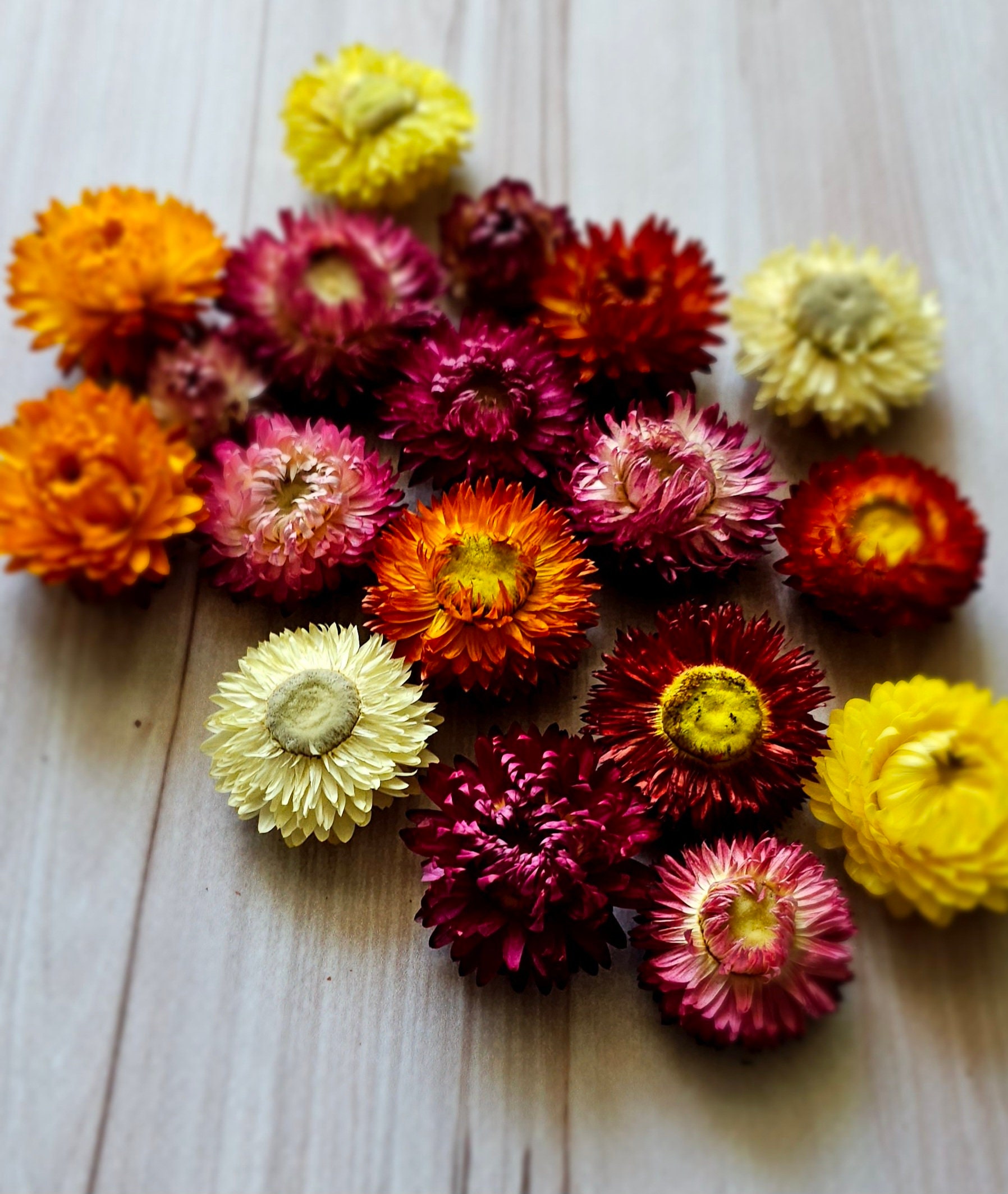 100 Dried Strawflower Heads, Dried Flowers, Wedding Diy,diy Soap Making ...
