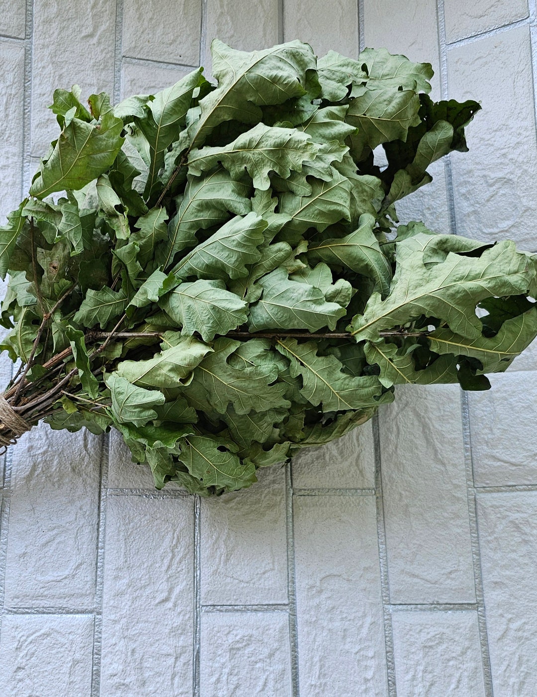 Oak Broom, Broom, Dried Oak Whisk, Banya Venik,oak Sauna Broom,sauna ...