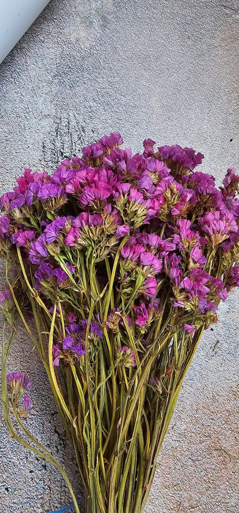 Bouquet di statice essiccata rosa, arredamento rustico da fattoria ...
