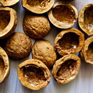 Natural Walnut Shell Halves, Craft Supply, Wedding Ornament - Etsy