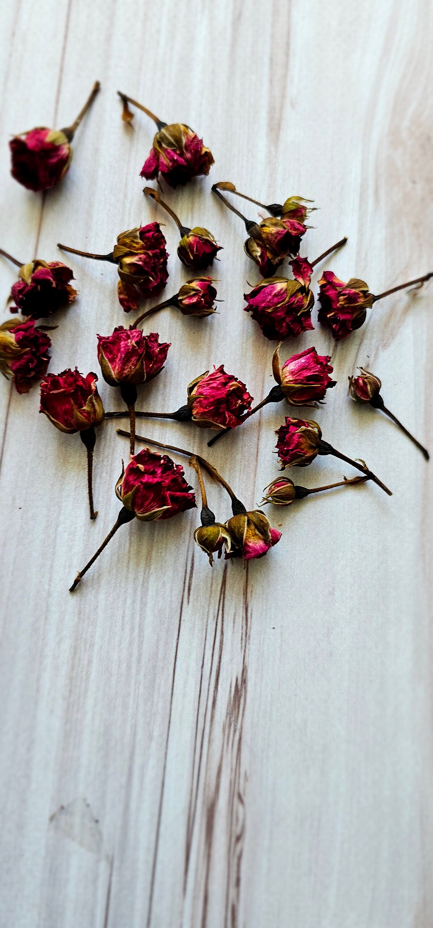 15 Pcs Dried Rose Flowers,dried Rose,red Dry Roses,miniature Rose Buds ...