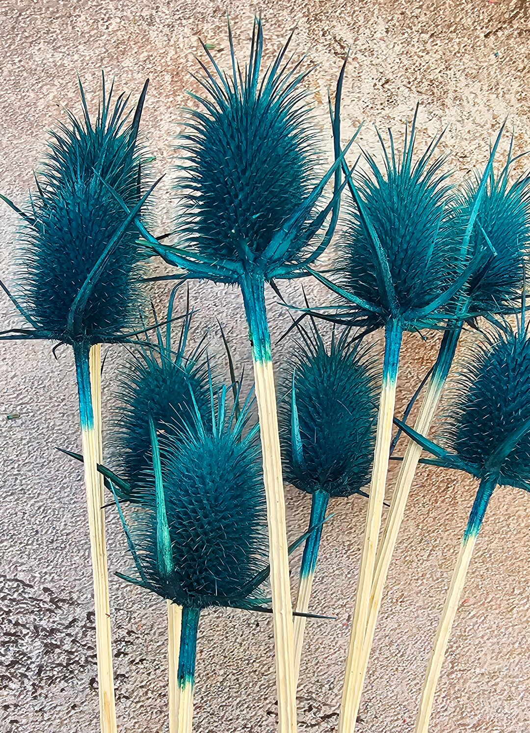 15 Stems Long 40cm Blue Dried Thistles,preserved Flowers, Floral ...