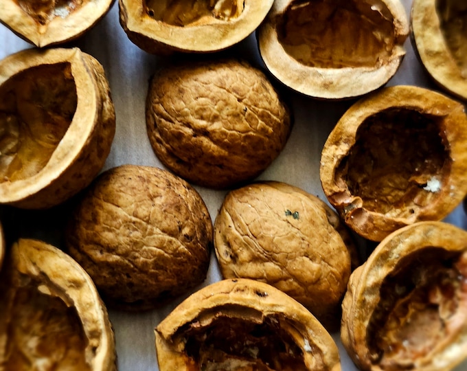 Walnut Shells Halves | Empty Walnut Shells to Use as Craft Supplies ...