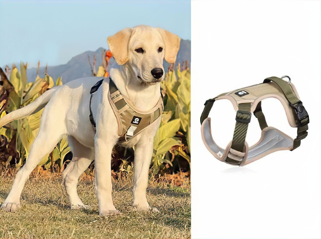 Strong Dog Body Harness Comfortable and Unique Dog Harness Design ...