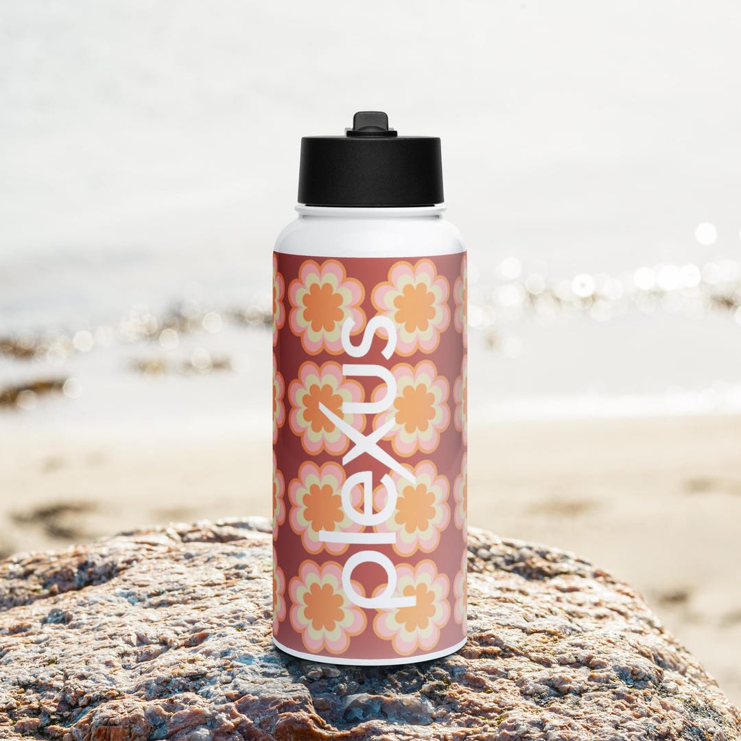 Plexus Retro Stainless Steel Water Bottle With a Straw Lid - Etsy